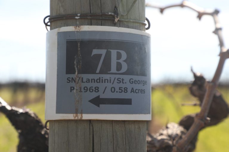 Spire Collection - The Napa Wine Project