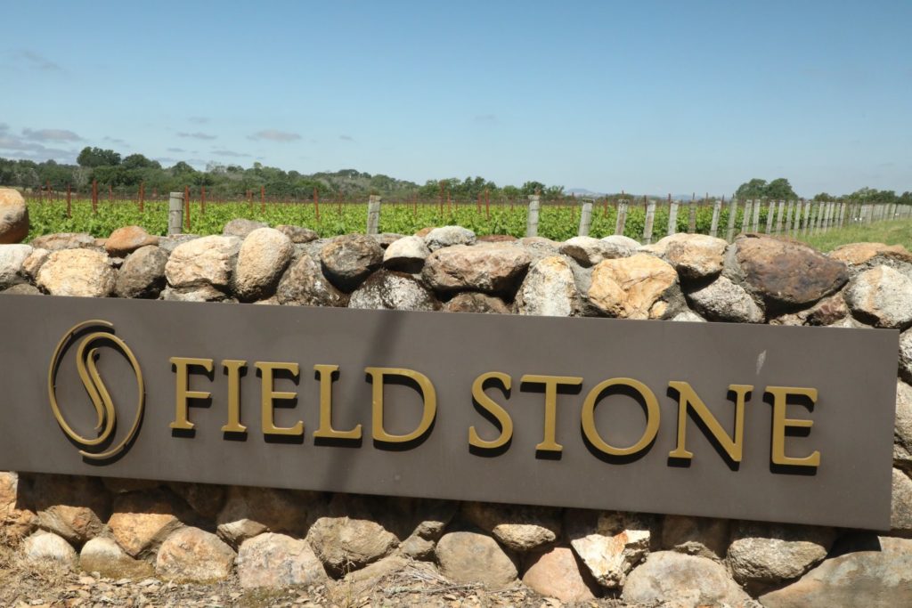 Spire Collection - The Napa Wine Project