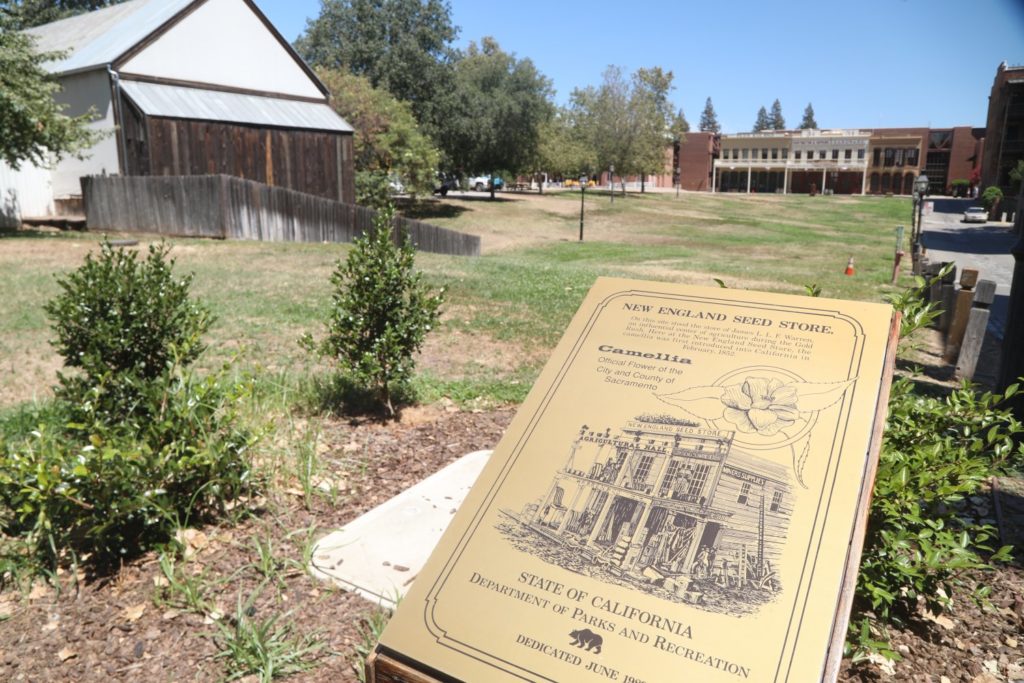 Vine Hill Ranch - The Napa Wine Project