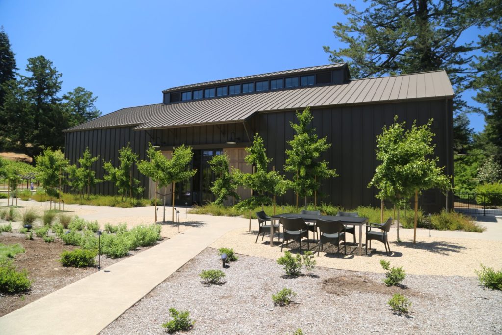 Theorem Vineyards - The Napa Wine Project