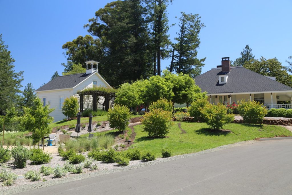 Theorem Vineyards - The Napa Wine Project