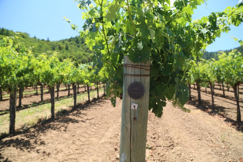 Vine Hill Ranch - The Napa Wine Project