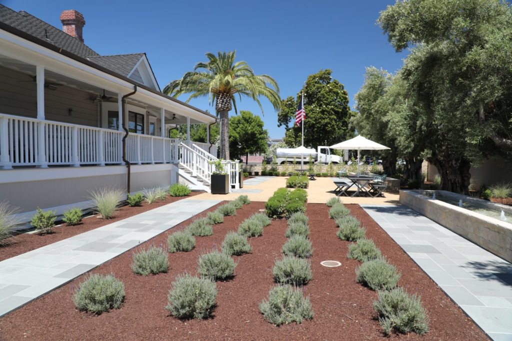 Mathew Bruno Wines - The Napa Wine Project