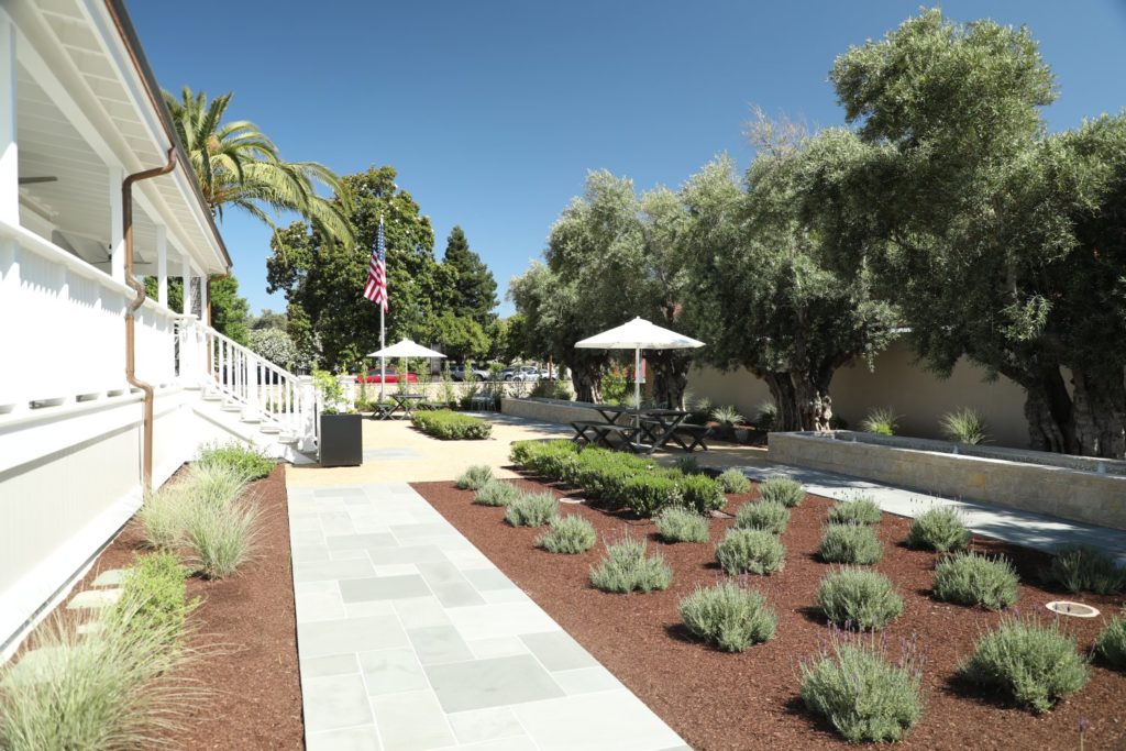 Mathew Bruno Wines - The Napa Wine Project
