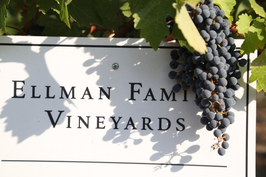 ELLMAN Estate Winery - The Napa Wine Project