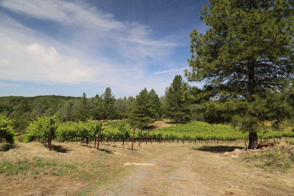 Keplinger Wines - The Napa Wine Project
