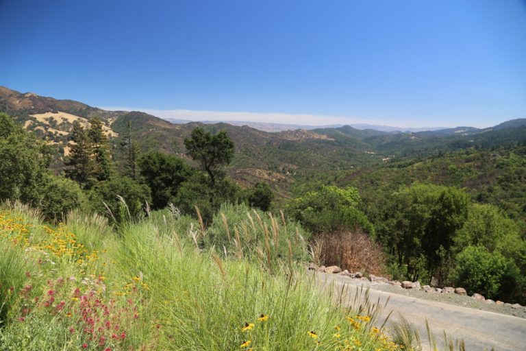 Boich Family Cellar - The Napa Wine Project