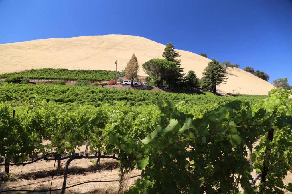 Boich Family Cellar - The Napa Wine Project