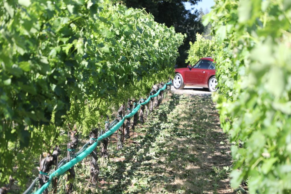 Bevan Cellars - The Napa Wine Project