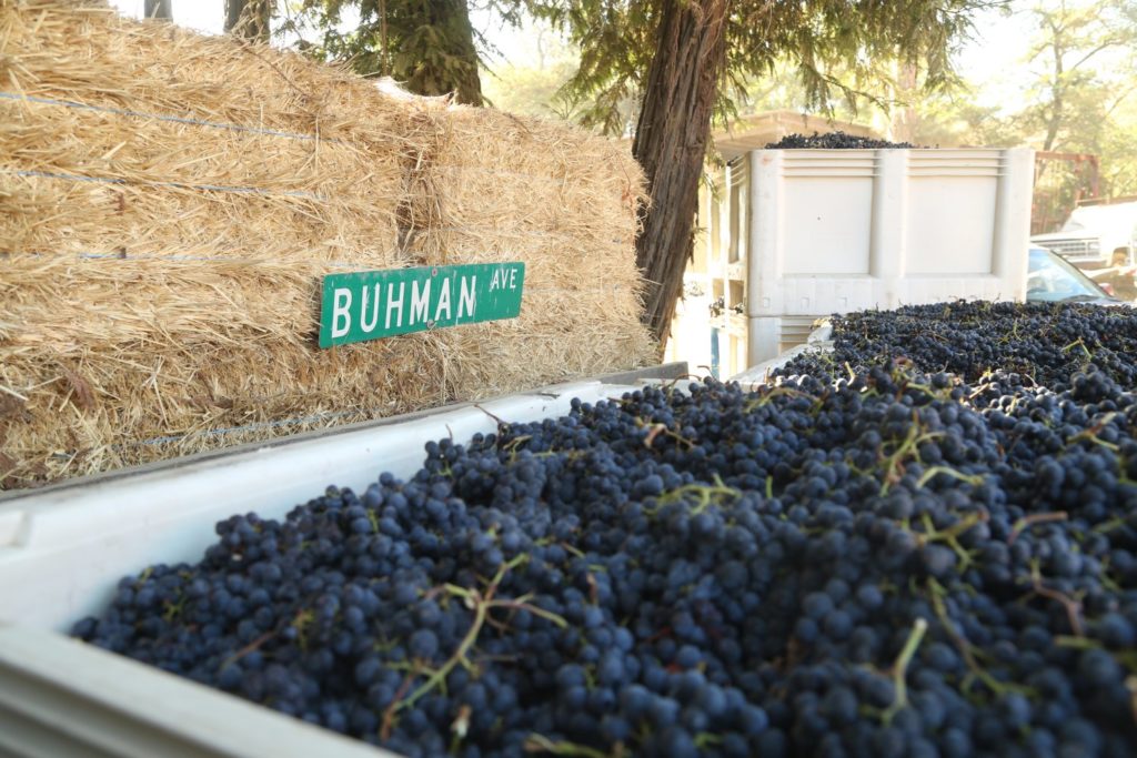 Buhman Estate Vineyards - The Napa Wine Project