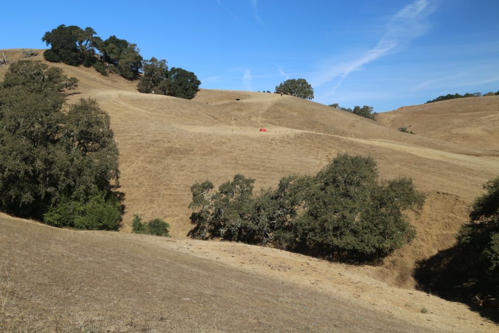 Buhman Estate Vineyards - The Napa Wine Project