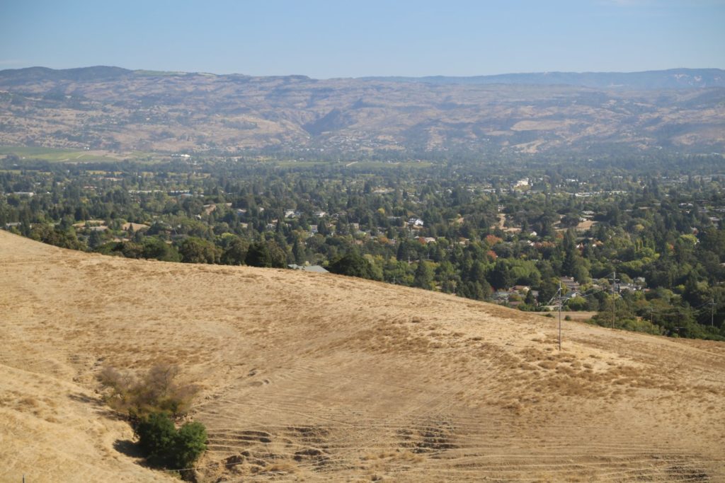 Buhman Estate Vineyards - The Napa Wine Project