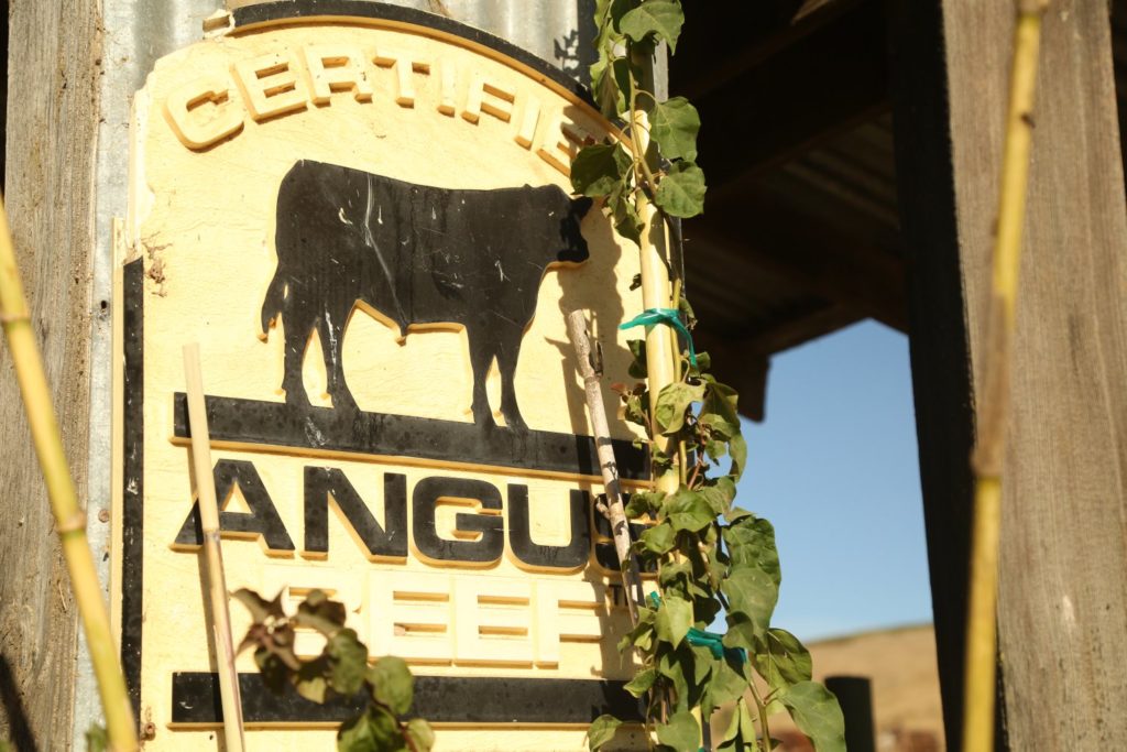 Buhman Estate Vineyards - The Napa Wine Project