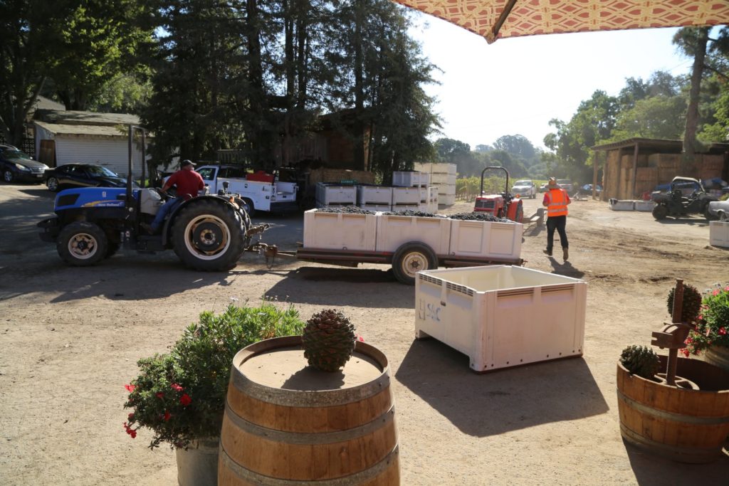Buhman Estate Vineyards - The Napa Wine Project