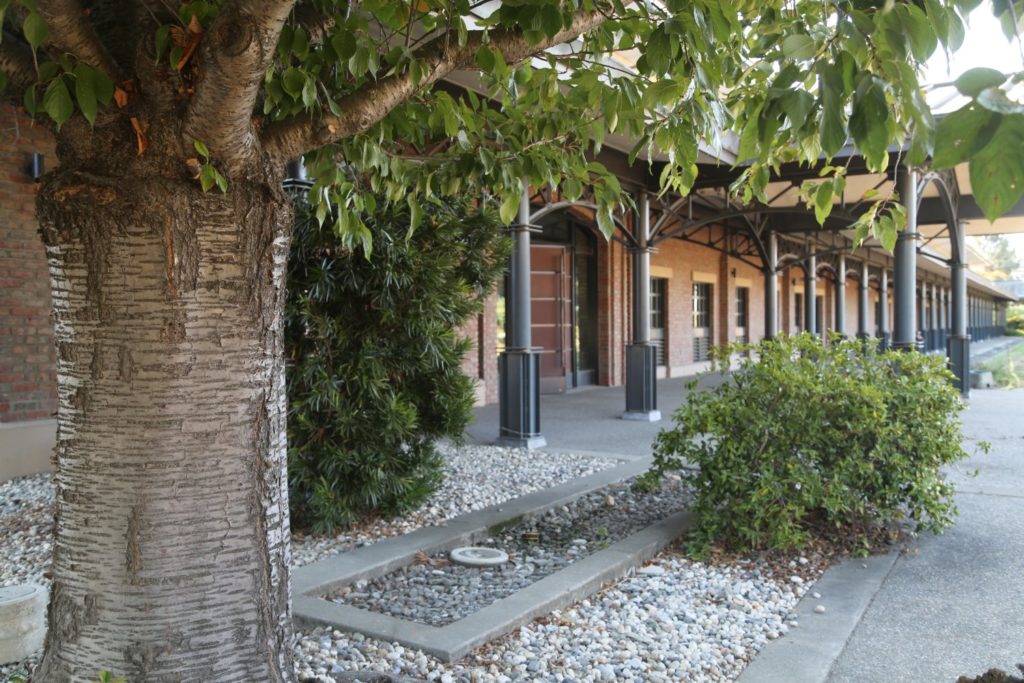 RD Winery - The Napa Wine Project