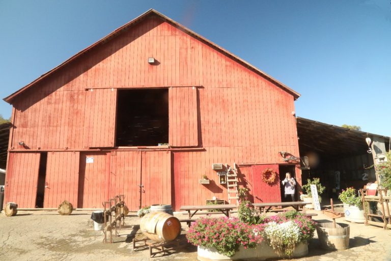 Buhman Estate Vineyards - The Napa Wine Project