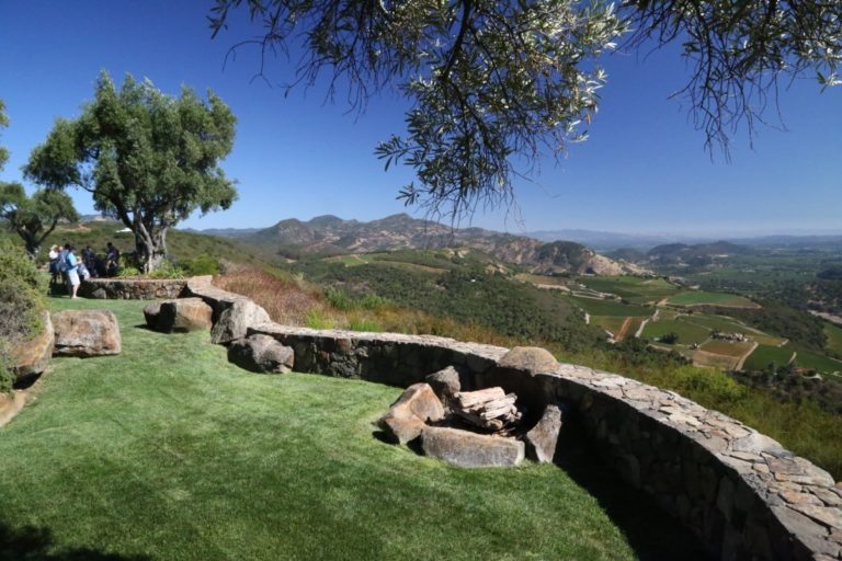 BRION Wines - The Napa Wine Project