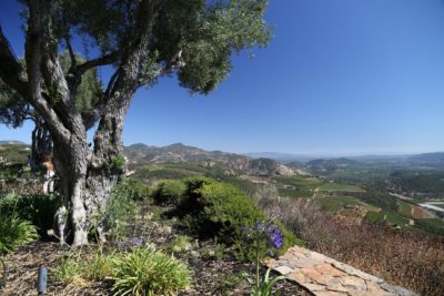 BRION Wines - The Napa Wine Project
