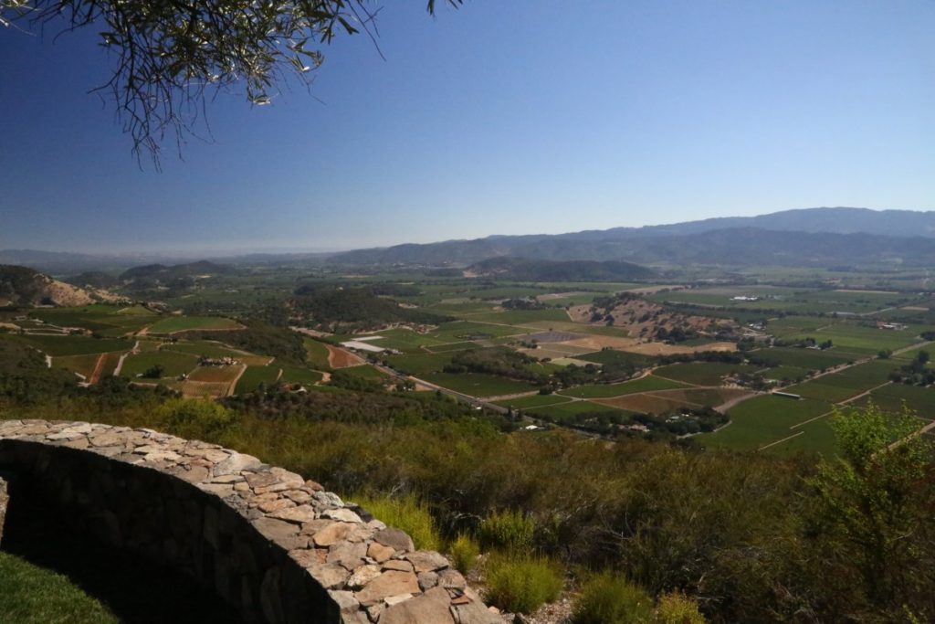 BRION Wines - The Napa Wine Project