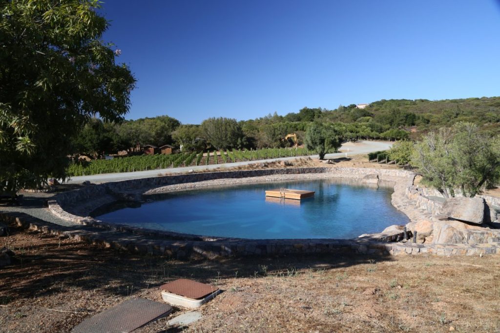 BRION Wines - The Napa Wine Project