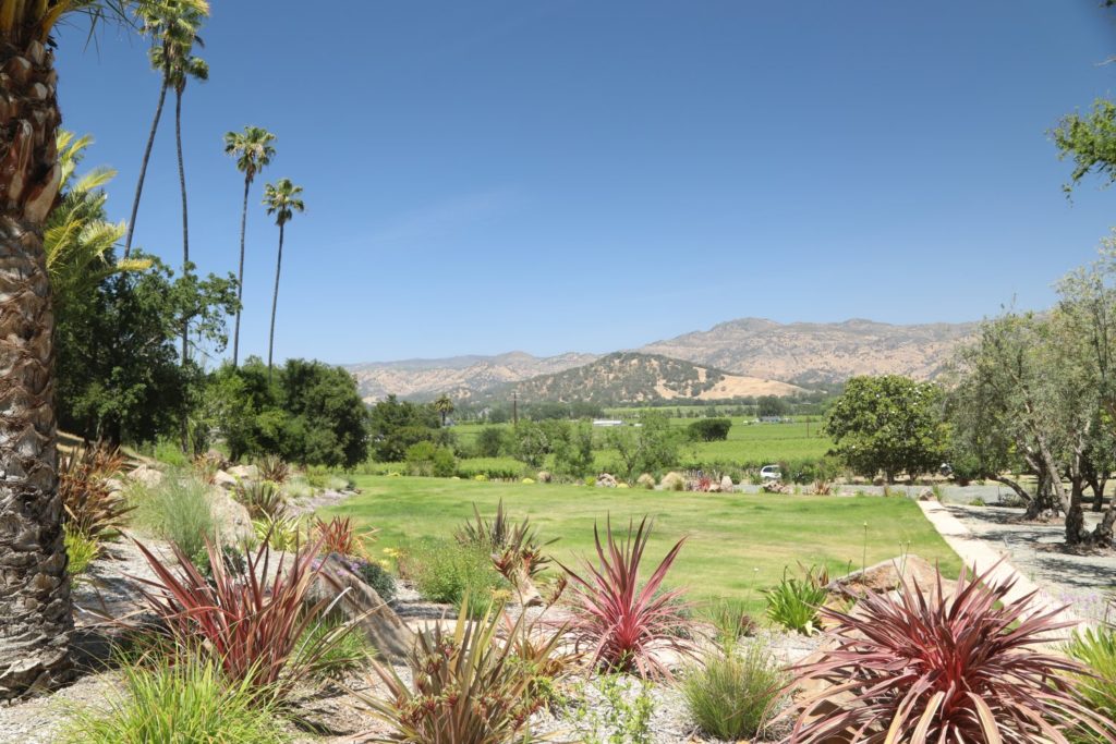 BRION Wines - The Napa Wine Project