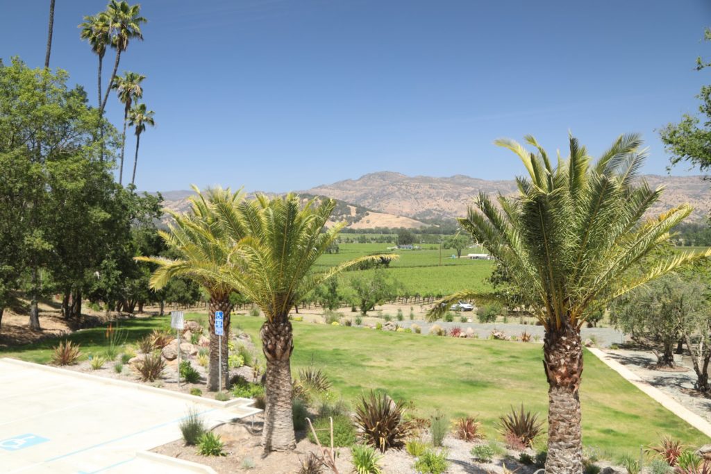 BRION Wines - The Napa Wine Project