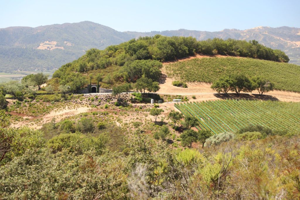 BRION Wines - The Napa Wine Project