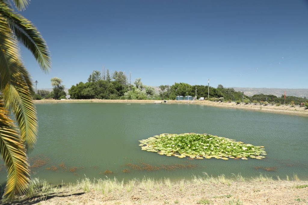 Frisinger Family Vineyard - The Napa Wine Project
