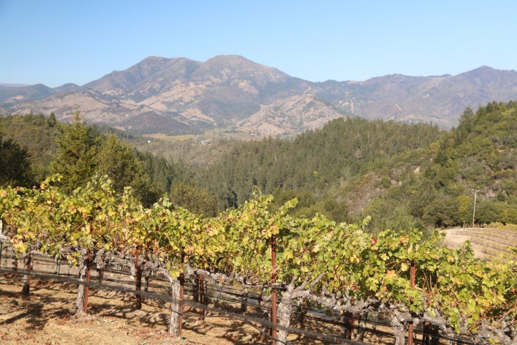 Lerner Project - The Napa Wine Project