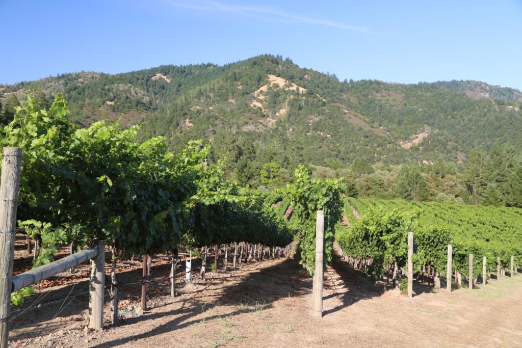 Heimark Vineyard - The Napa Wine Project