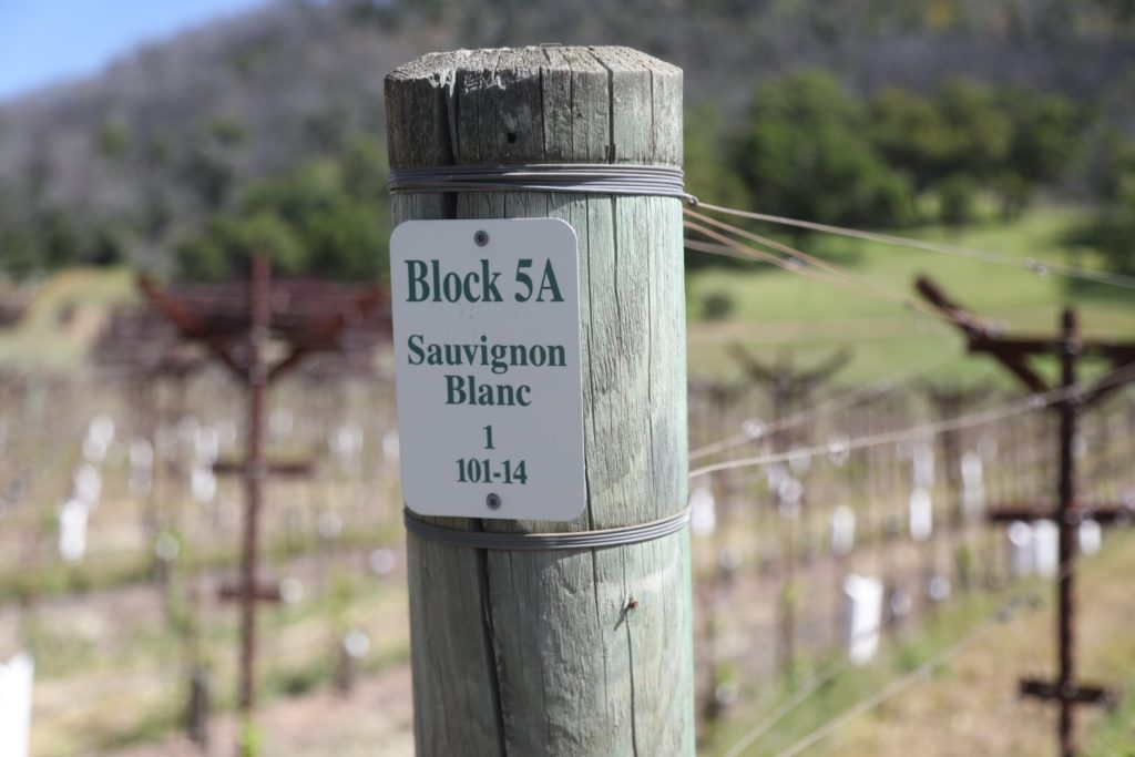 Montgomery Vineyard - The Napa Wine Project