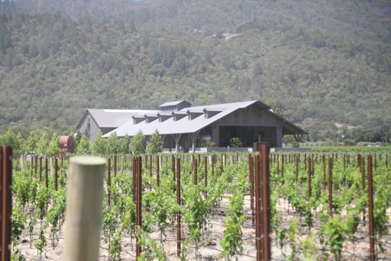 ONEHOPE Winery - The Napa Wine Project