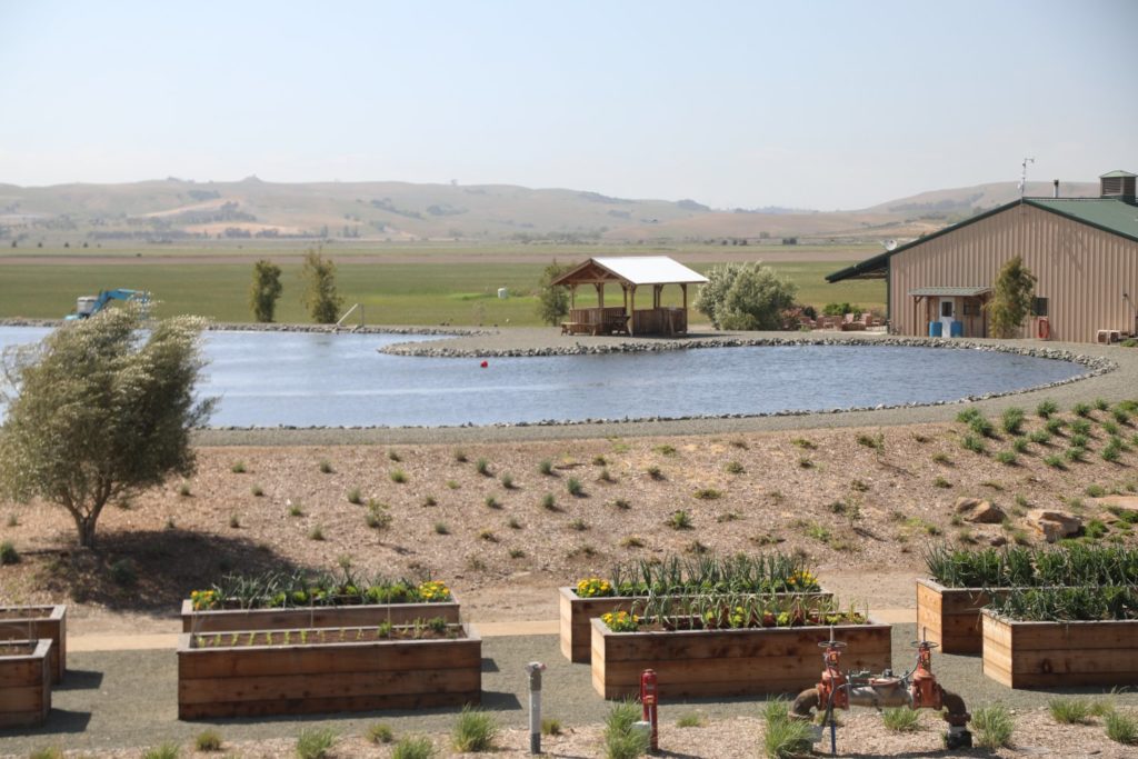 Wing & Barrel Ranch - The Napa Wine Project