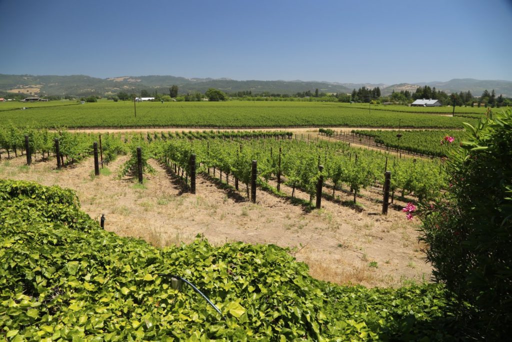 Cathiard Vineyard - The Napa Wine Project