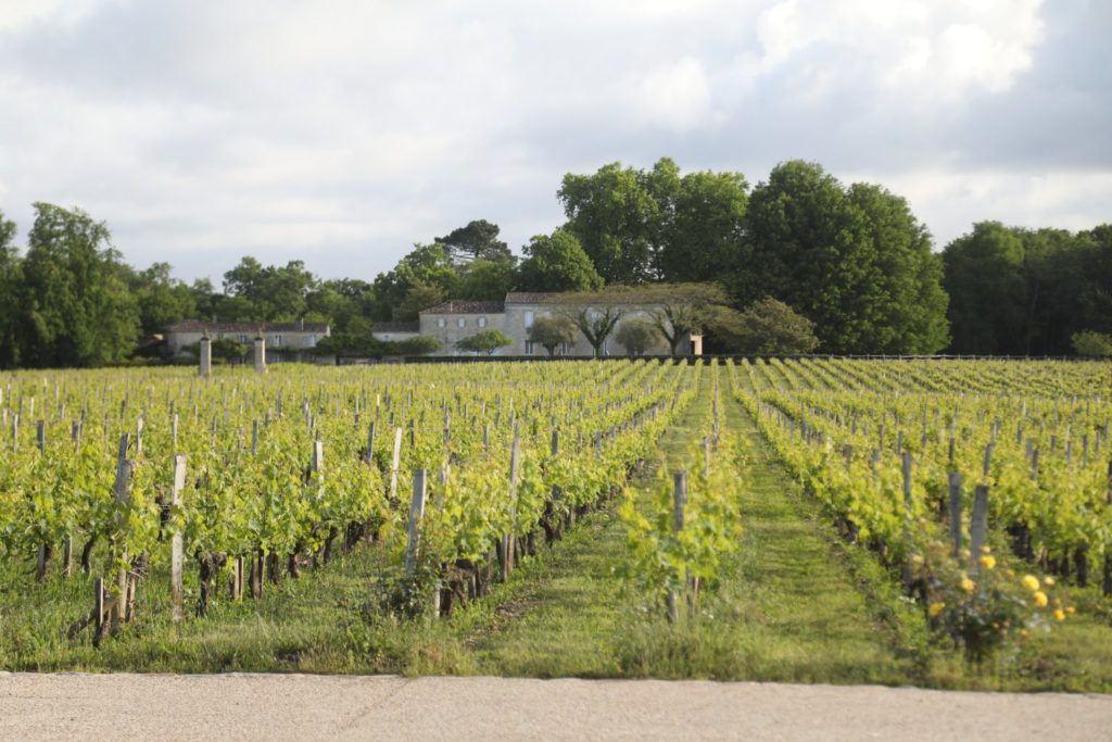 Cathiard Vineyard - The Napa Wine Project