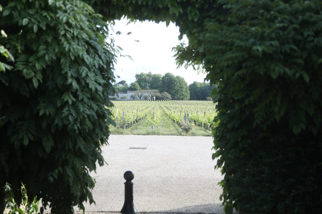 Cathiard Vineyard - The Napa Wine Project
