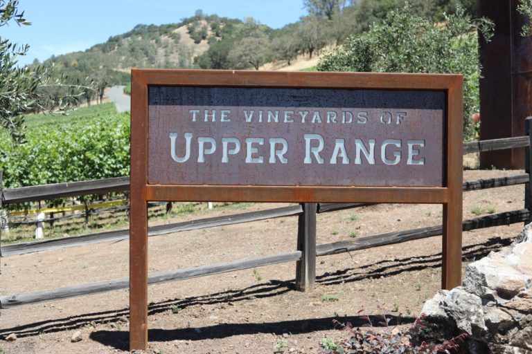 BRION Wines - The Napa Wine Project