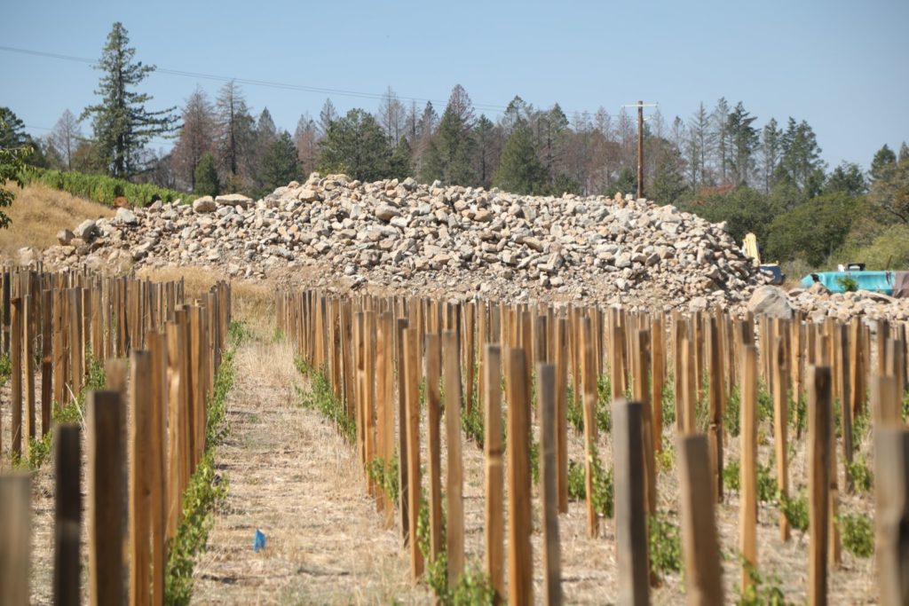 Jasud Estate - The Napa Wine Project