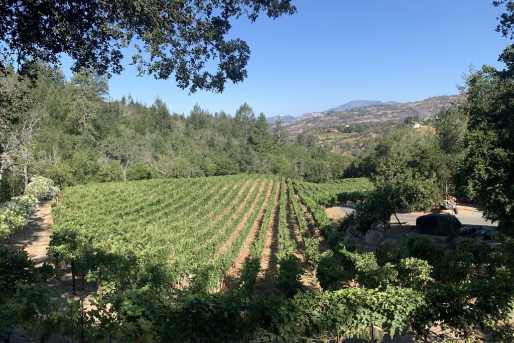 The Napa Wine Project