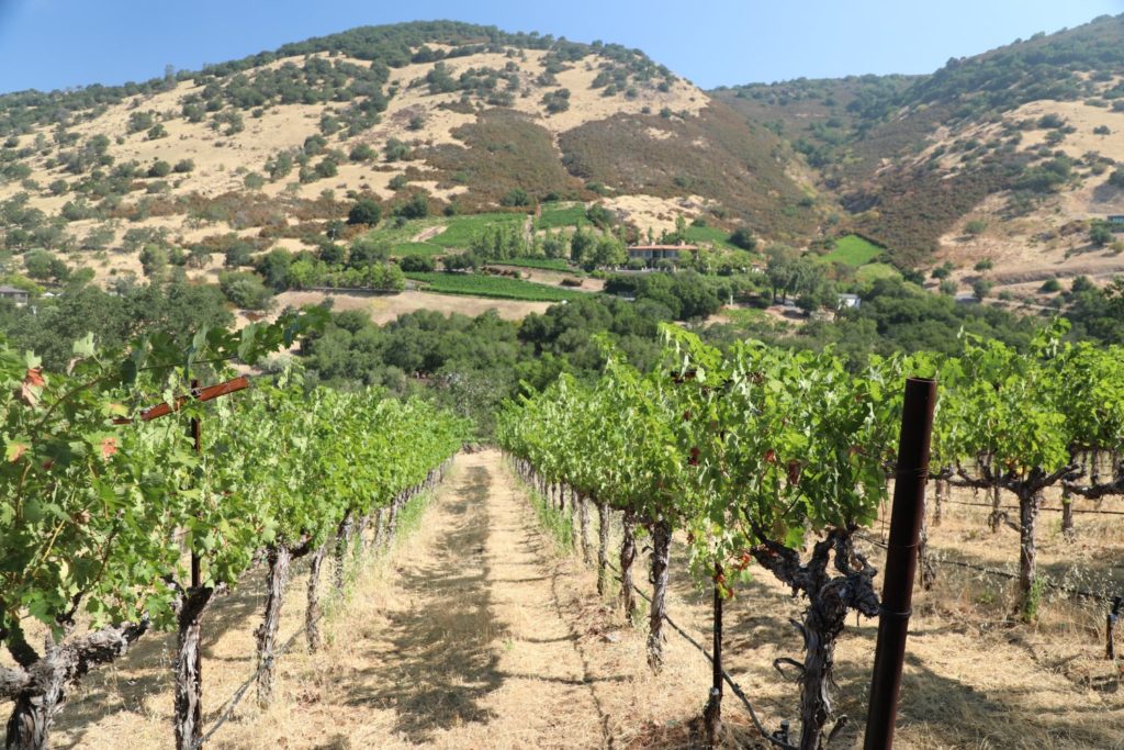 Buselli Wines - The Napa Wine Project