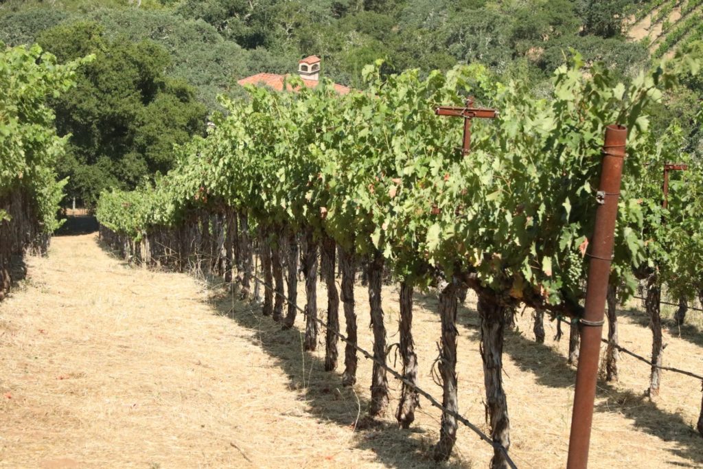 Buselli Wines - The Napa Wine Project
