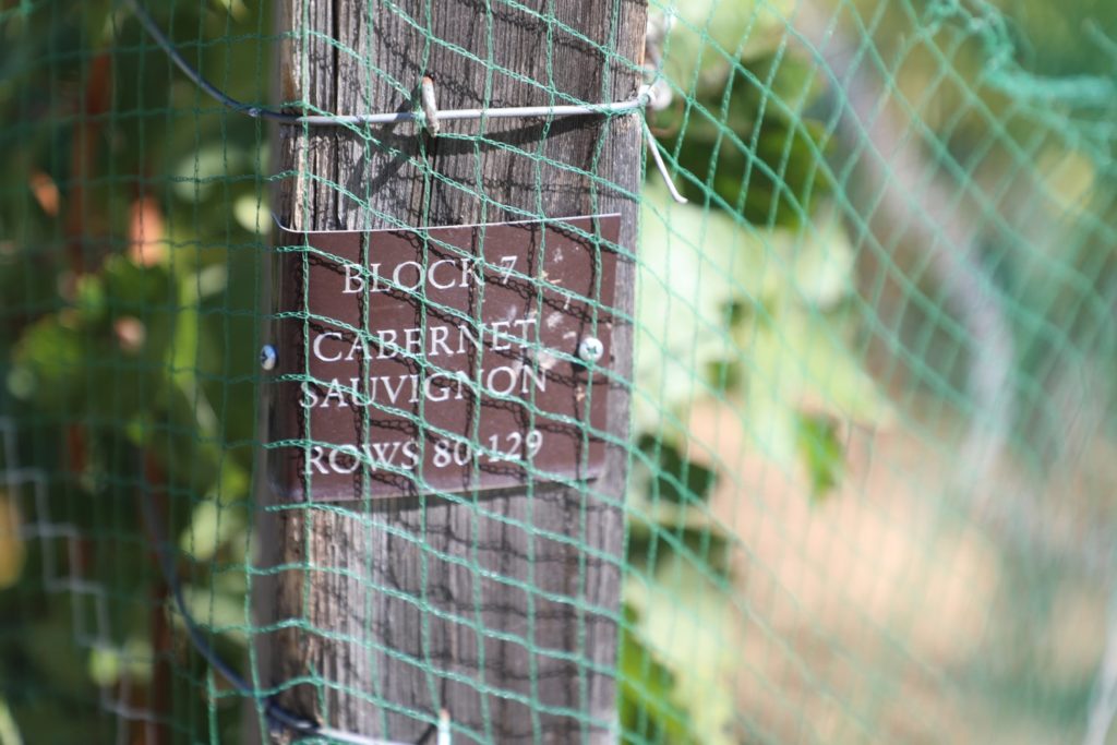 Bergman Family Vineyards - The Napa Wine Project