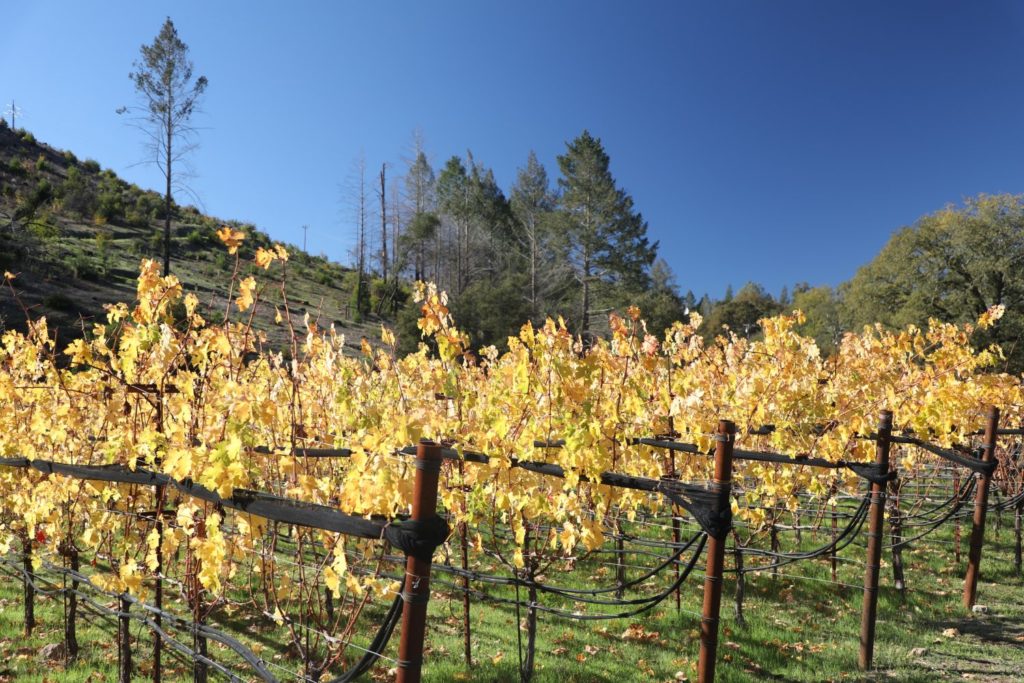 Vida Valiente Winery - The Napa Wine Project