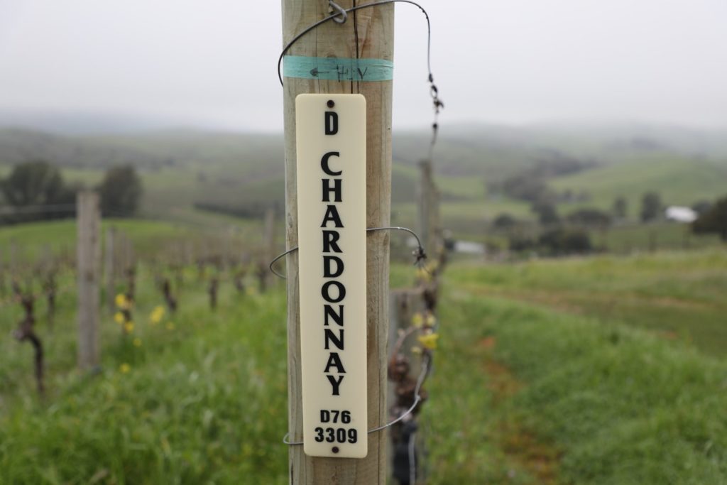 Firetree Family Vineyards - The Napa Wine Project