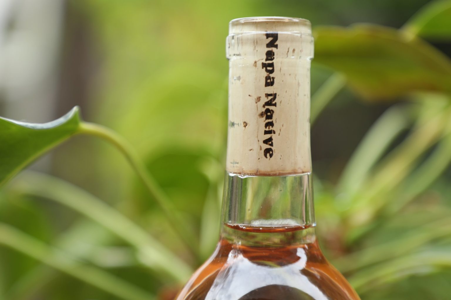 Napa Native - The Napa Wine Project