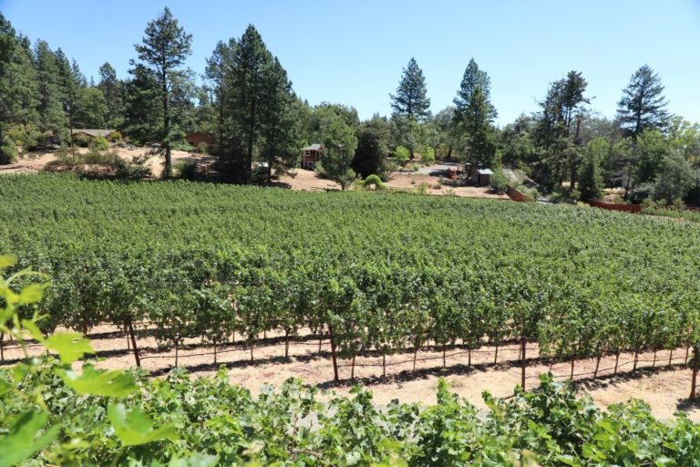 Cardano Estate Wines - The Napa Wine Project
